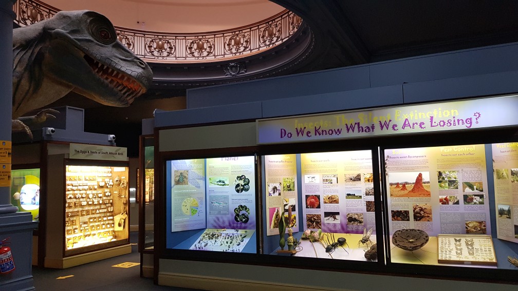 Exhibition at Durban Natural Science Museum – EASTERaction